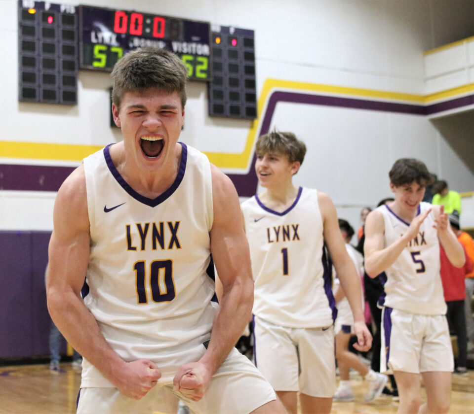 Lynx advance to 3A finals | News, Sports, Jobs - Messenger News